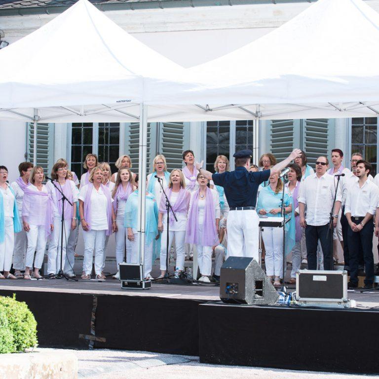 Volk im Schloss Groß-Gerau 2025: Festival mit lokalen Künstlern